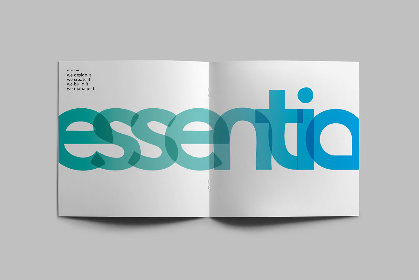 Essentia brand - Paul Murphy Design